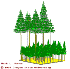 Forest Engineering, College of Forestry, Oregon State University
