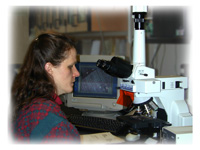 Equipment, Research, Wood Science and Engineering, College of Forestry ...